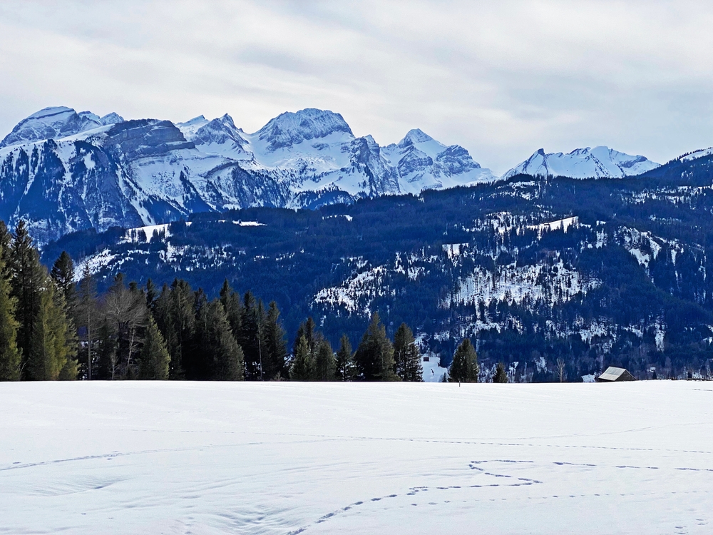 Region Flums: Messungen bestätigen gute Luft im Seeztal - reiseziele.ch ...